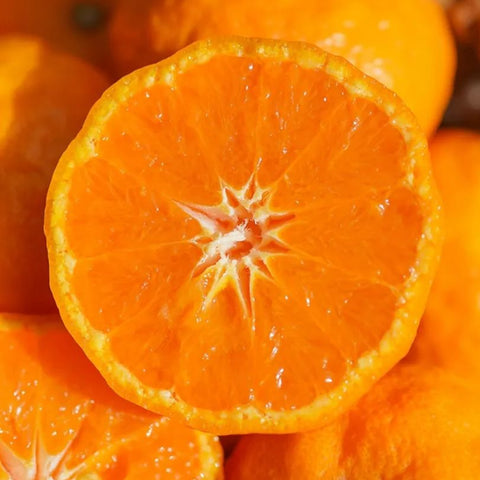 New World Mart 新世界韓國食品